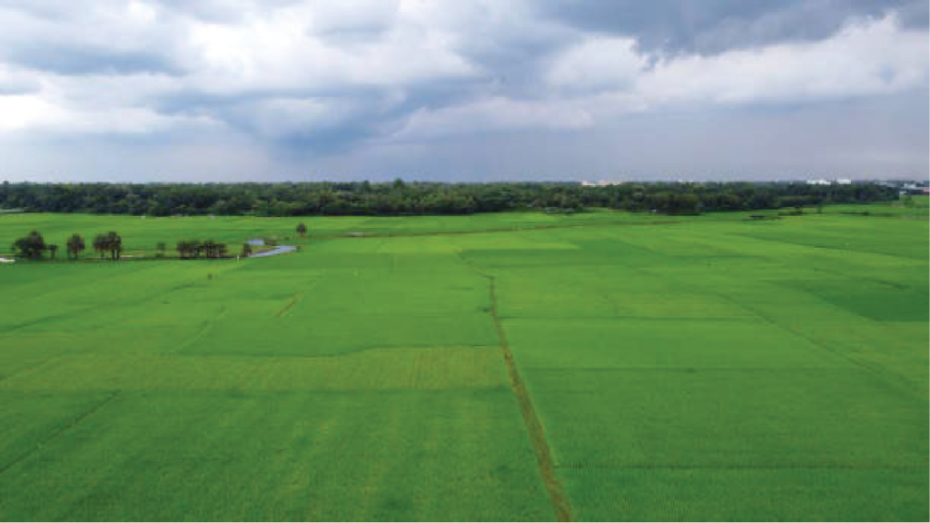 The Origin Sasoli Goa | Plots for sale in North Goa | The Origin Sasoli ...